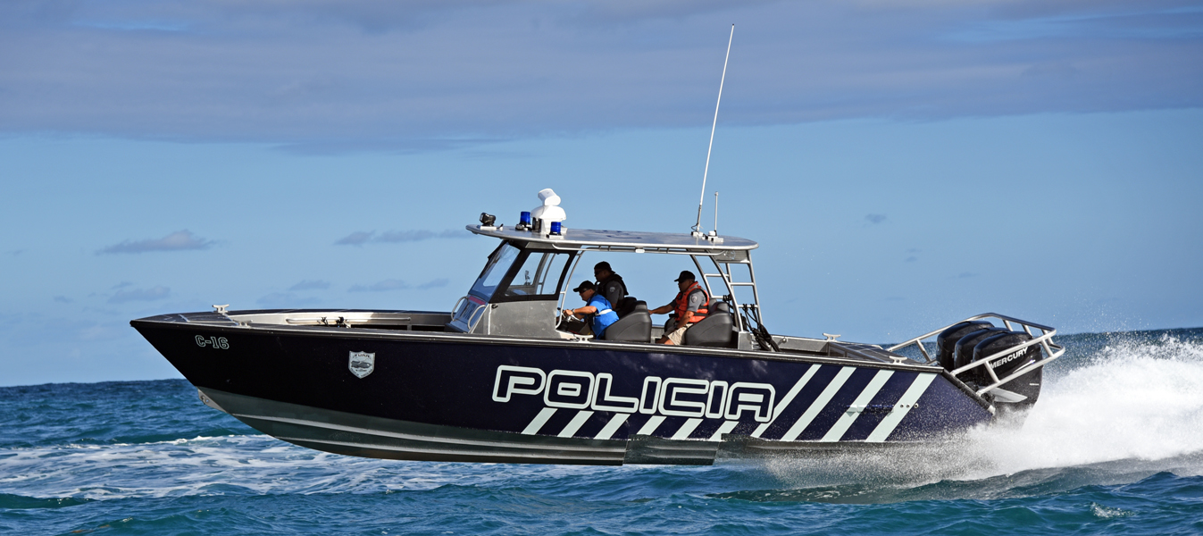 Fearless | Metal Shark